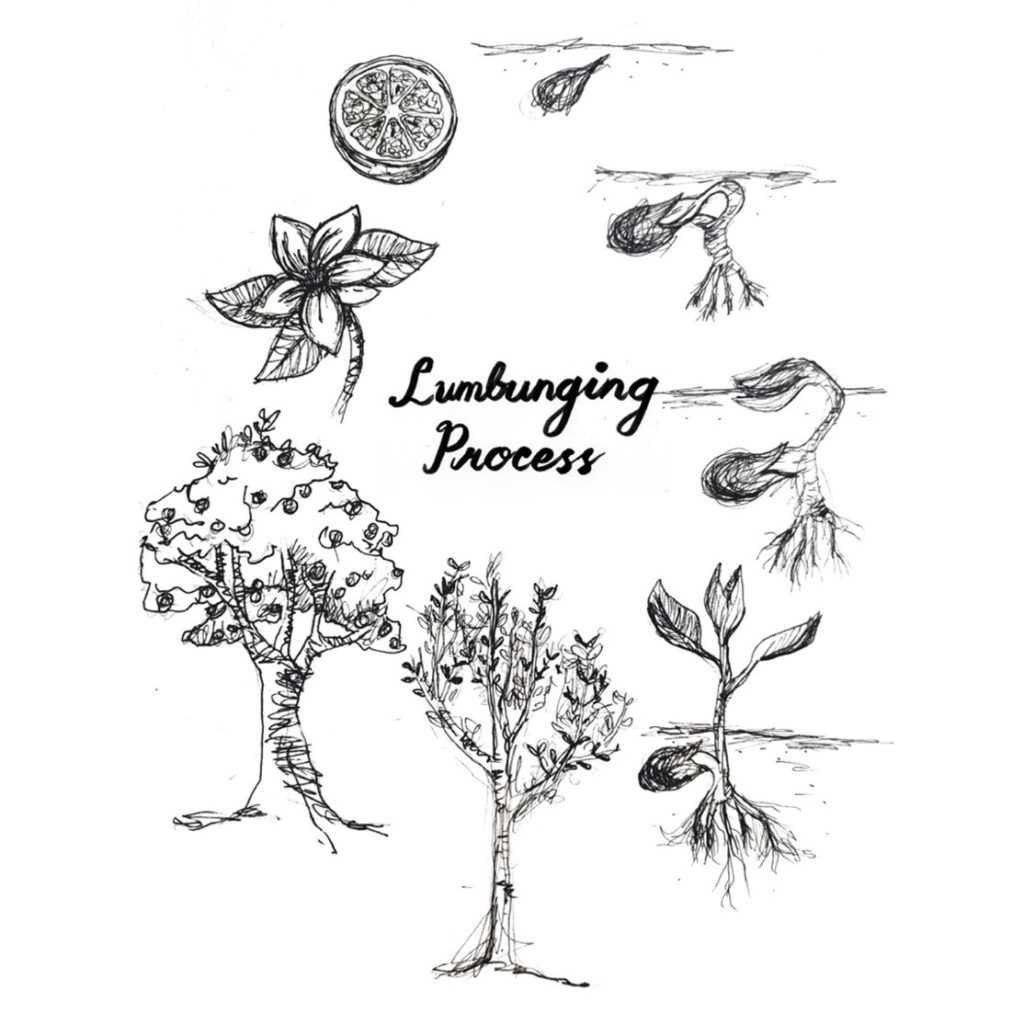 Ego-Trip war gestern! Kunst im Kollektiv | arte TWIST - documenta fifteen